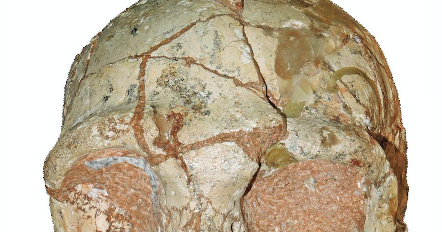 Présentation de l'ouvrage sur le site d'Apidima - Institut de ...